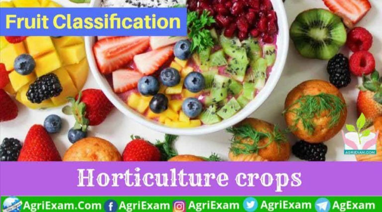 Fruits Classification - Agri Exam Agriculture Exam Study